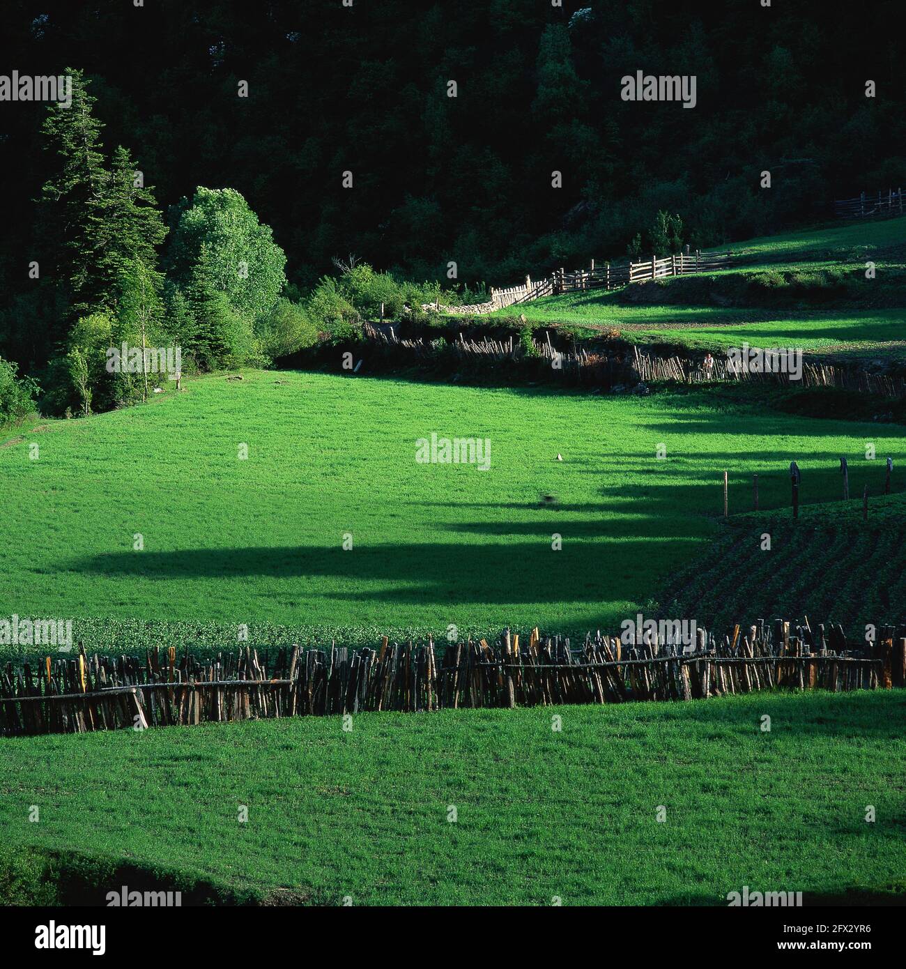 Mountain green water sunny river jungle hd background picture Stock ...