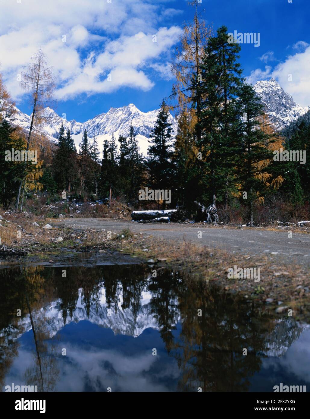 Mountain green water sunny river jungle hd background picture Stock ...