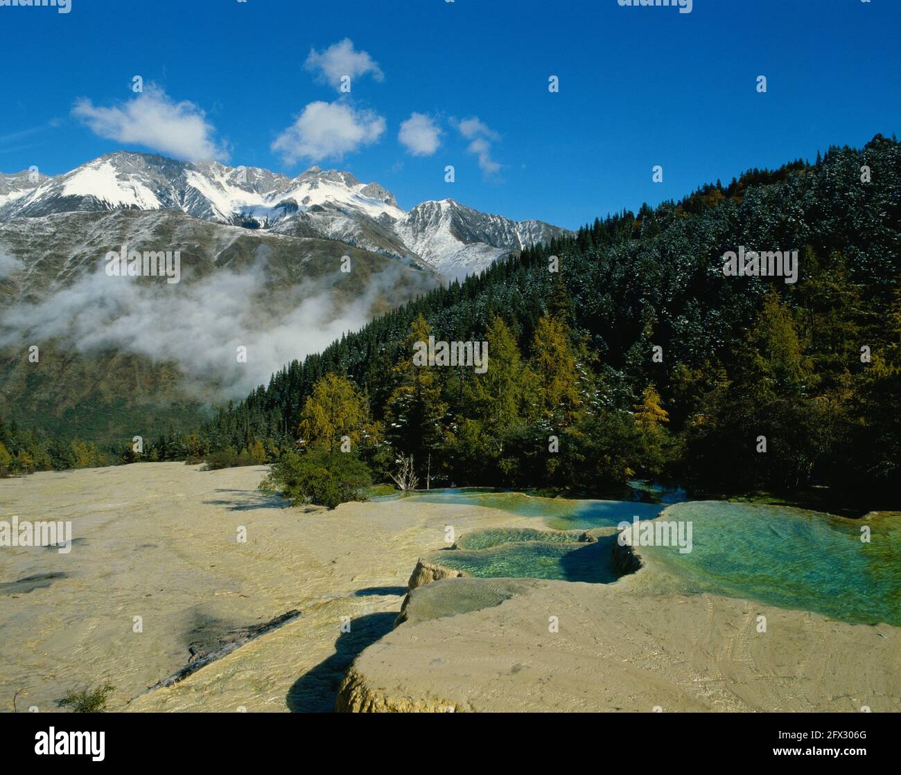 Mountain green water sunny river jungle hd background picture Stock ...