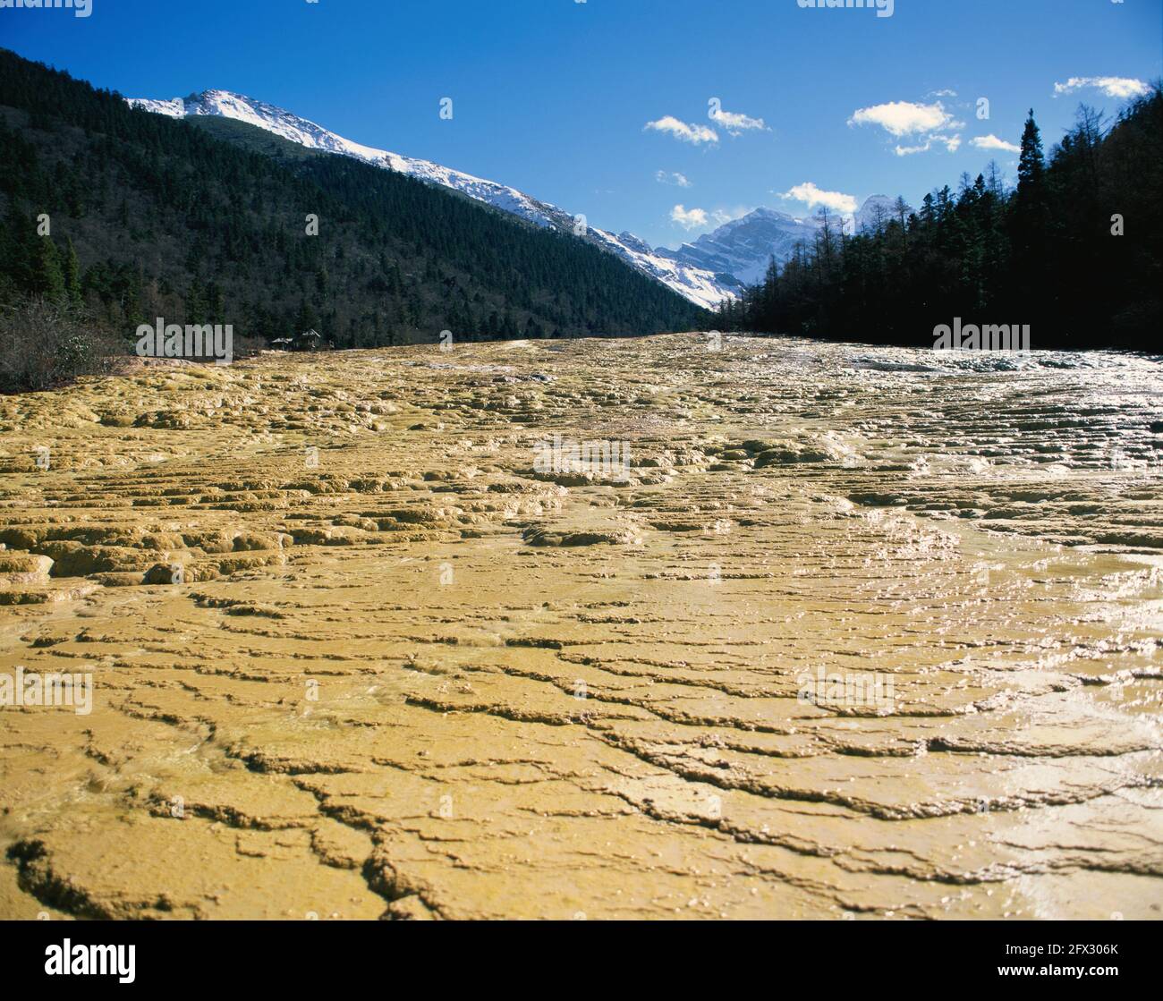 Mountain green water sunny river jungle hd background picture Stock ...