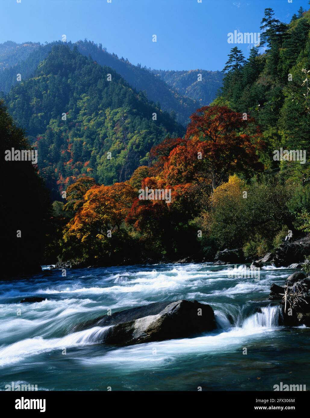 Mountain green water sunny river jungle hd background picture Stock ...