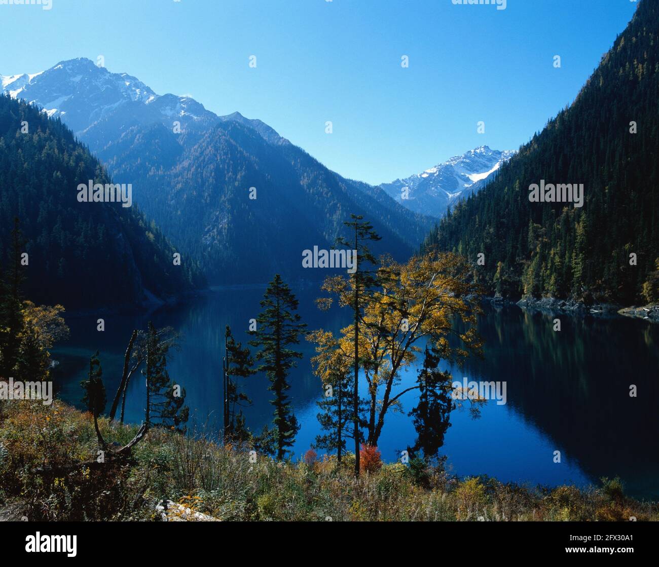 Mountain green water sunny river jungle hd background picture Stock ...