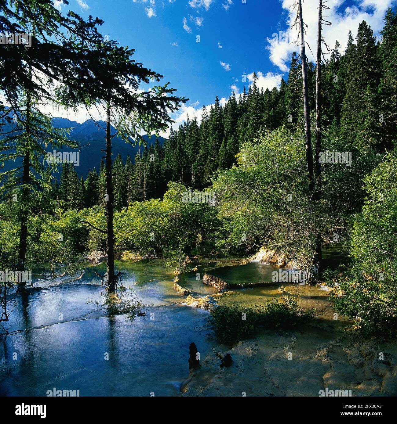 Mountain green water sunny river jungle hd background picture Stock ...