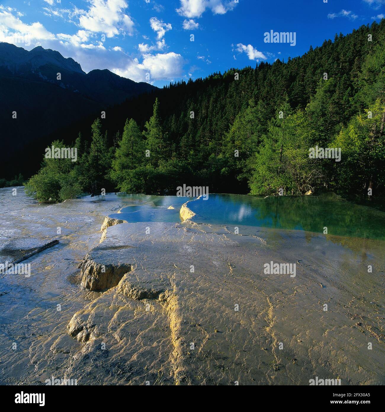 Mountain green water sunny river jungle hd background picture Stock ...