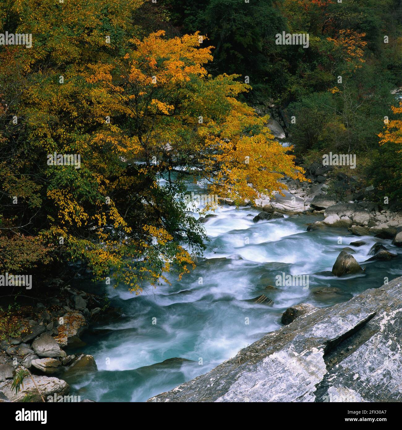 Mountain green water sunny river jungle hd background picture Stock ...