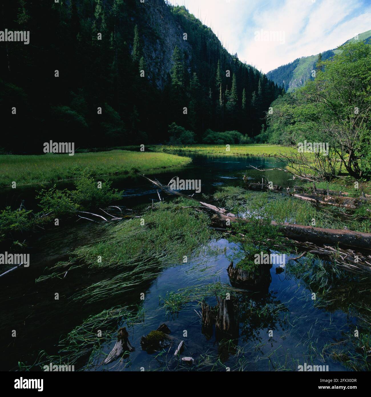 Mountain green water sunny river jungle hd background picture Stock ...