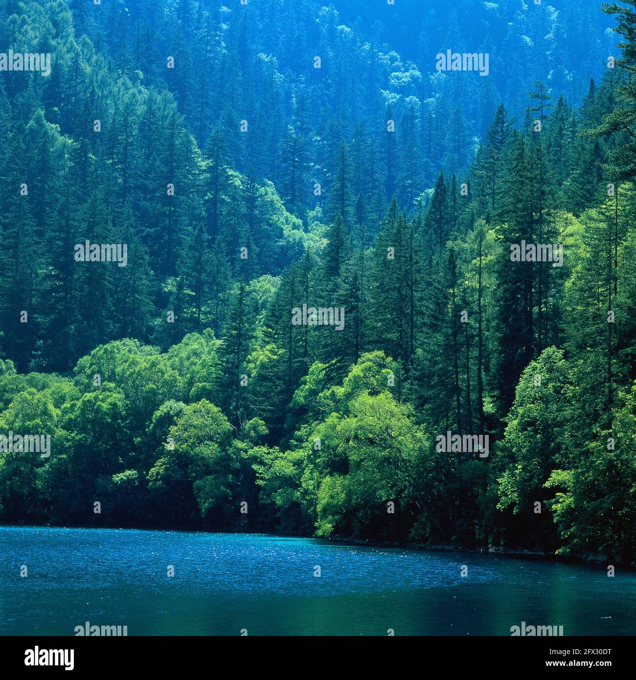 Mountain green water sunny river jungle hd background picture Stock ...