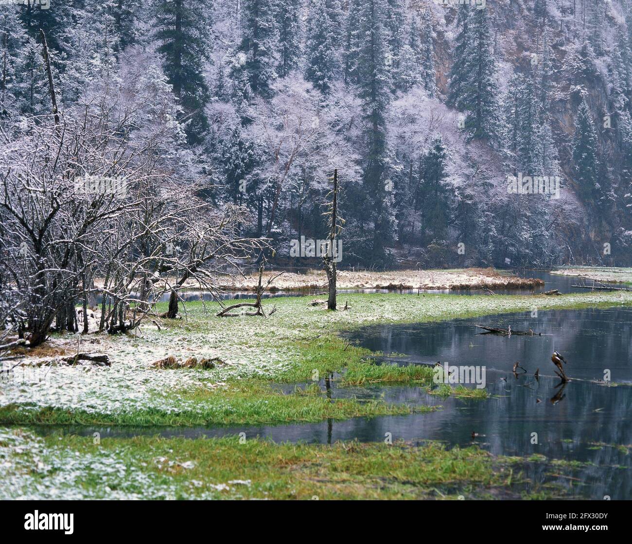 Mountain green water sunny river jungle hd background picture Stock ...