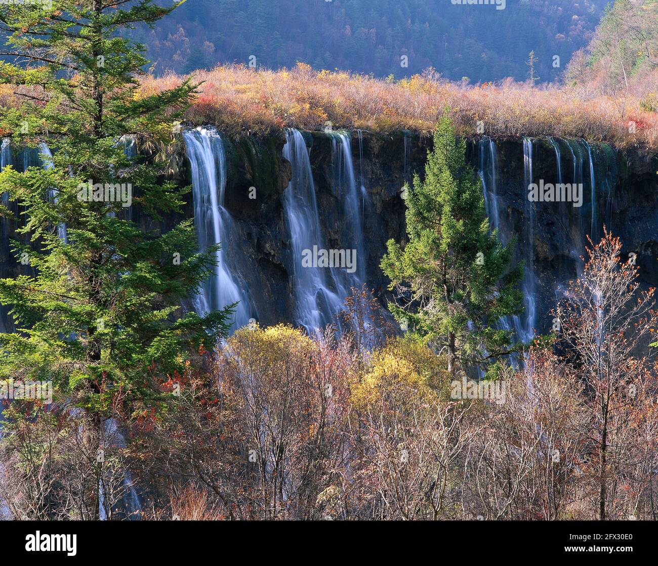 Mountain green water sunny river jungle hd background picture Stock ...