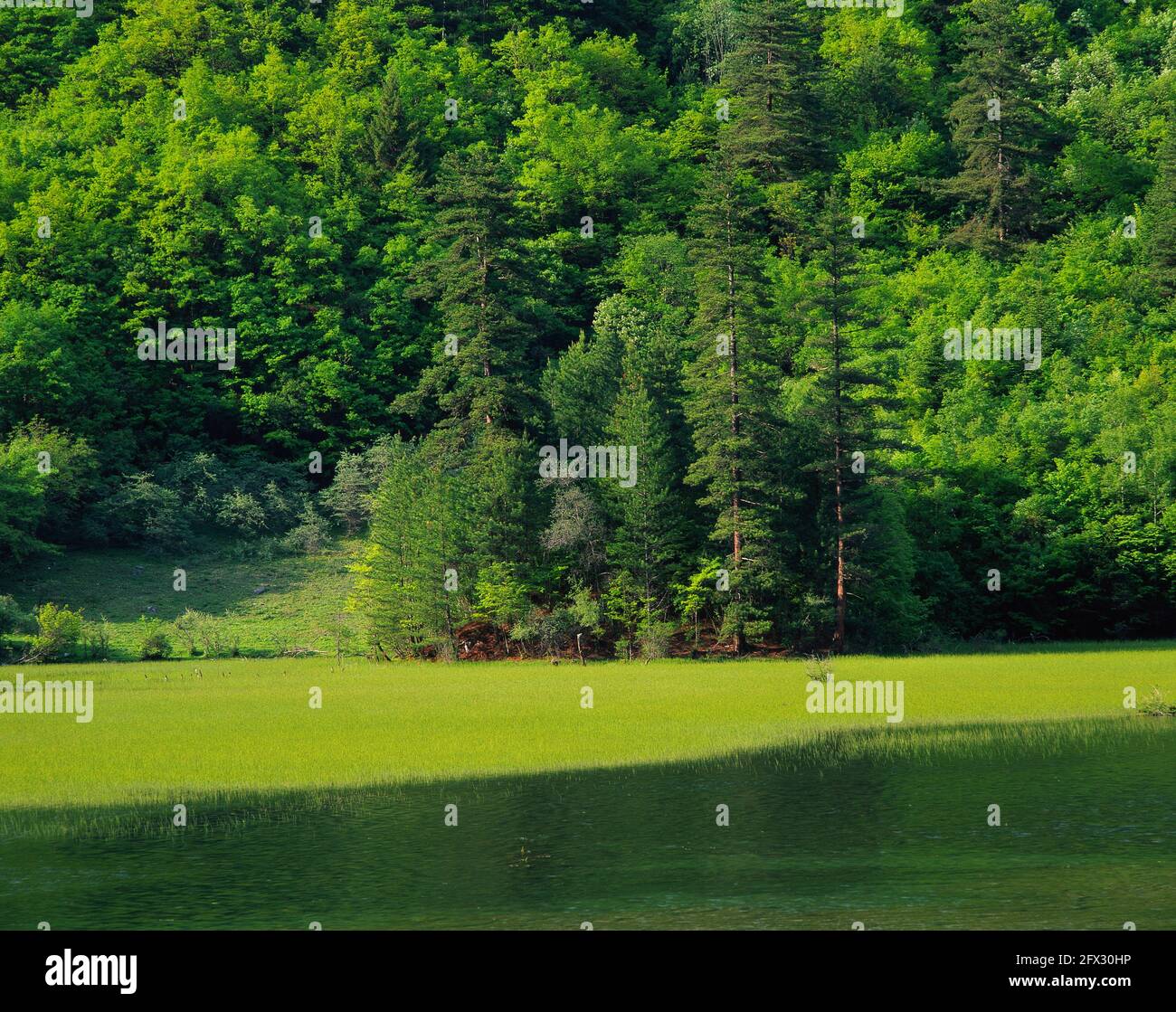 Mountain green water sunny river jungle hd background picture Stock ...