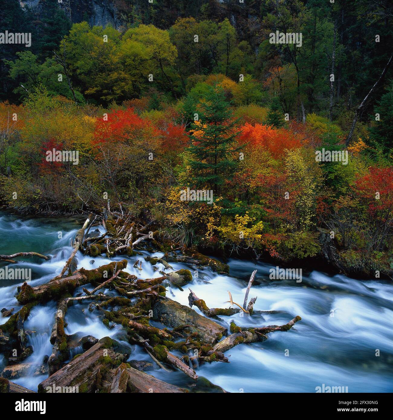 Mountain green water sunny river jungle hd background picture Stock ...