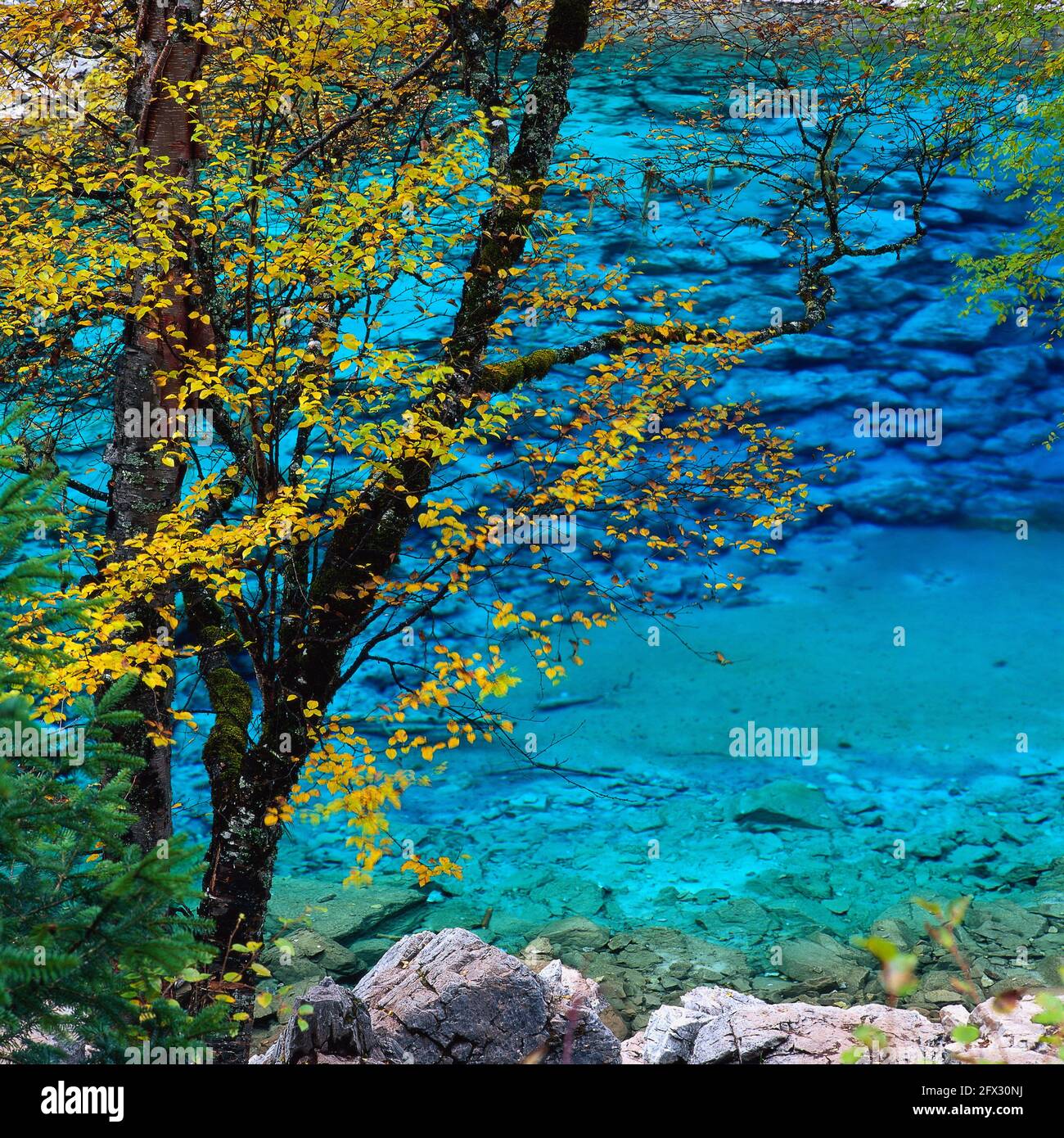 Mountain green water sunny river jungle hd background picture Stock ...