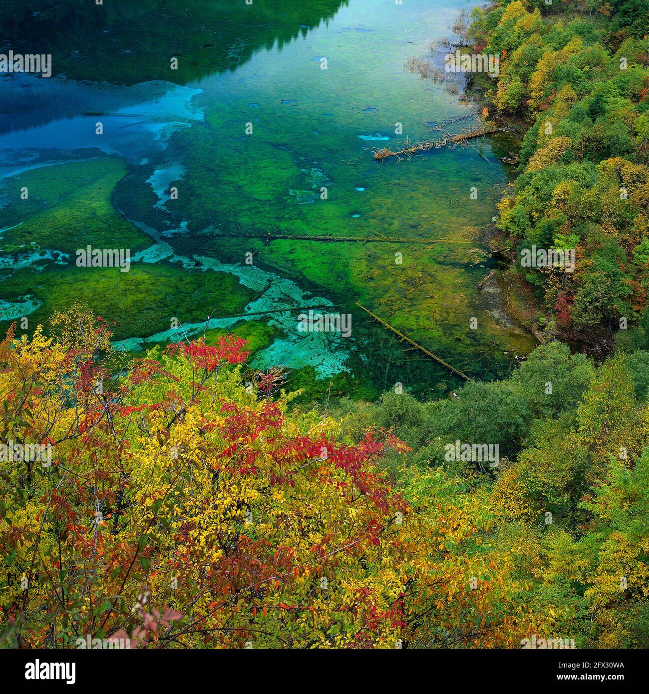 Mountain green water sunny river jungle hd background picture Stock ...