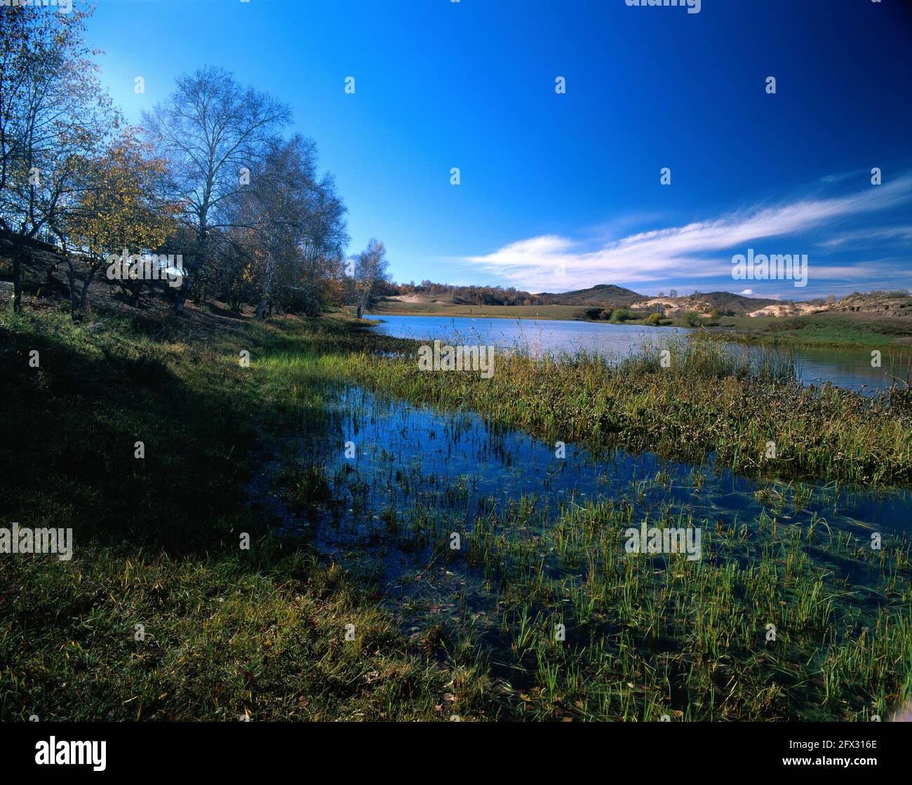 Mountain green water sunny river jungle hd background picture Stock ...