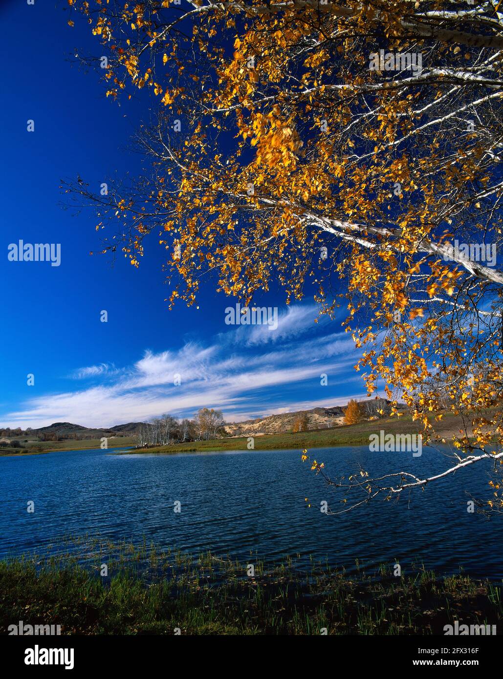 Mountain green water sunny river jungle hd background picture Stock ...