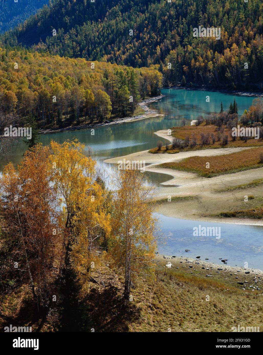 Mountain green water sunny river jungle hd background picture Stock ...