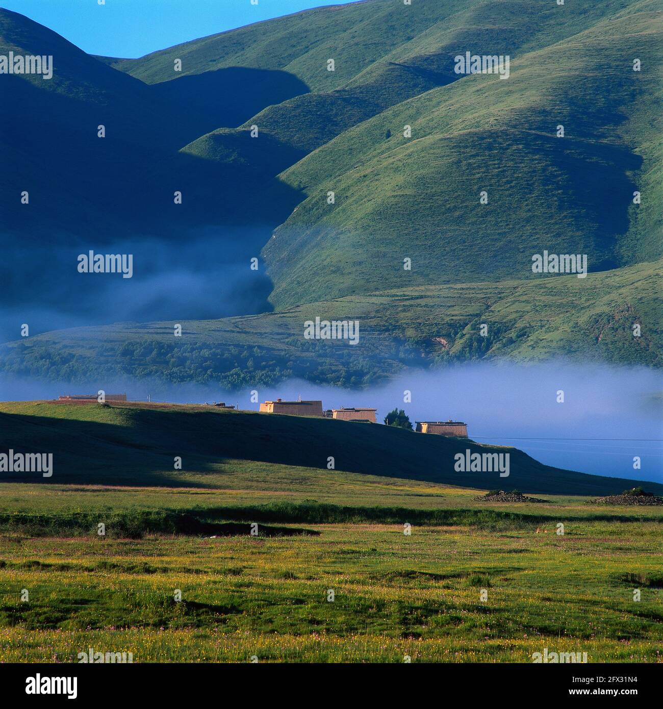 Mountain green water sunny river jungle hd background picture Stock ...