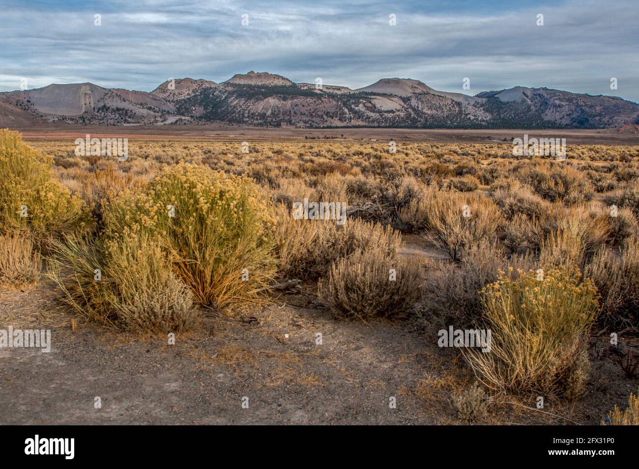 Mono craters hi-res stock photography and images - Alamy