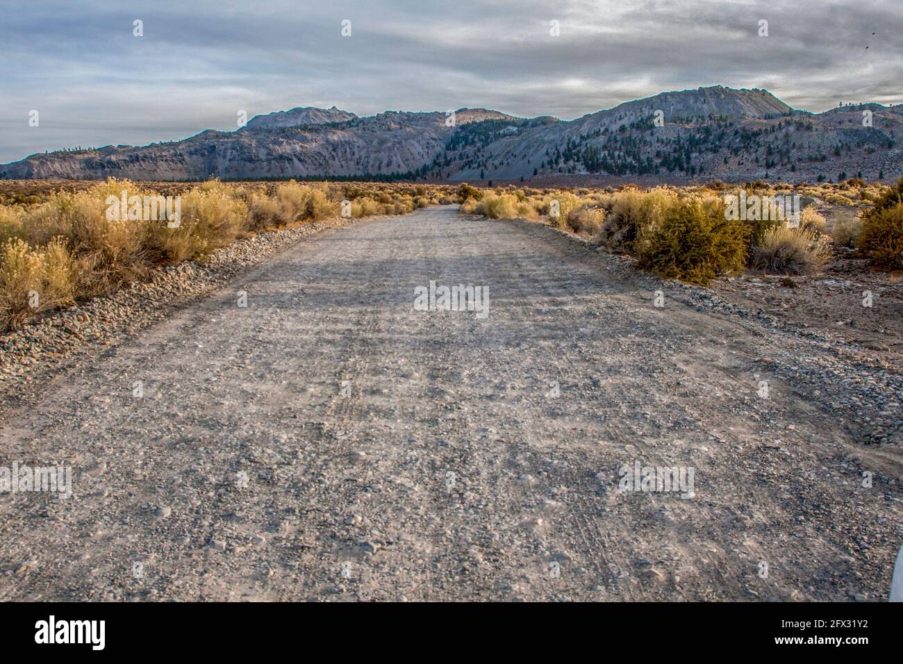 Landscape around mono lake hi-res stock photography and images - Alamy
