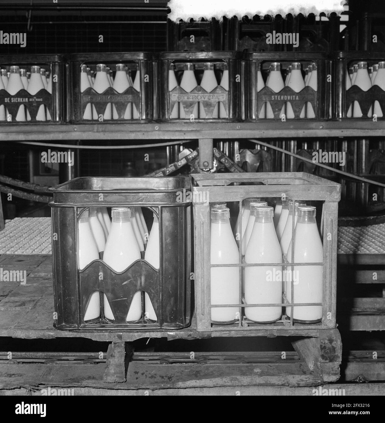 Milk bottle crates of synthetic material, reportage milk factory in ...