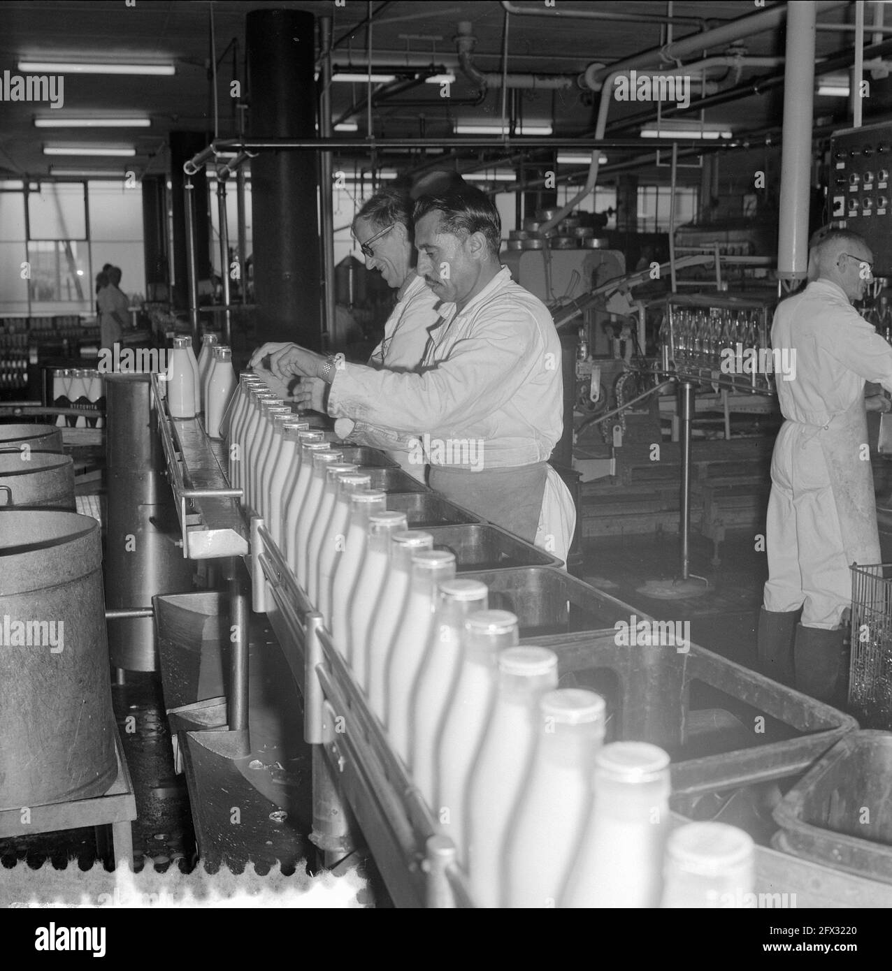 Reportage milk factory hi-res stock photography and images - Alamy