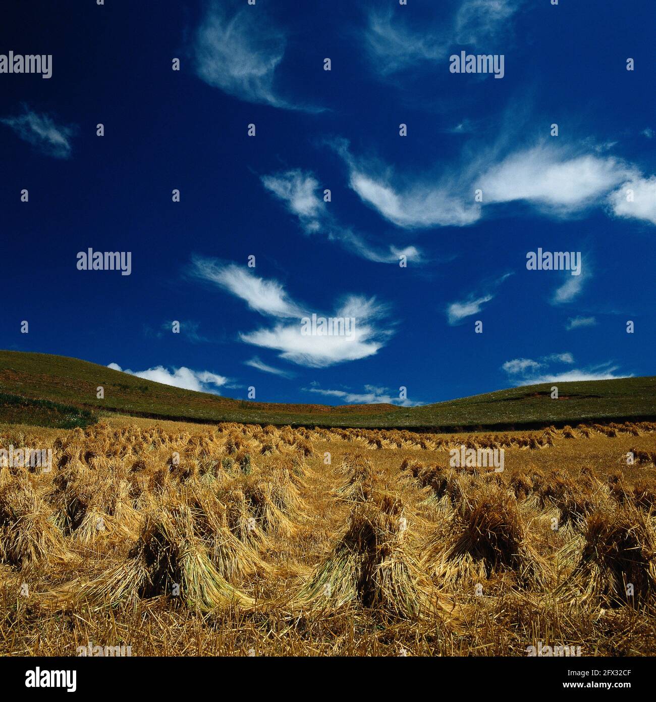 Mountain green water sunny river jungle hd background picture Stock ...