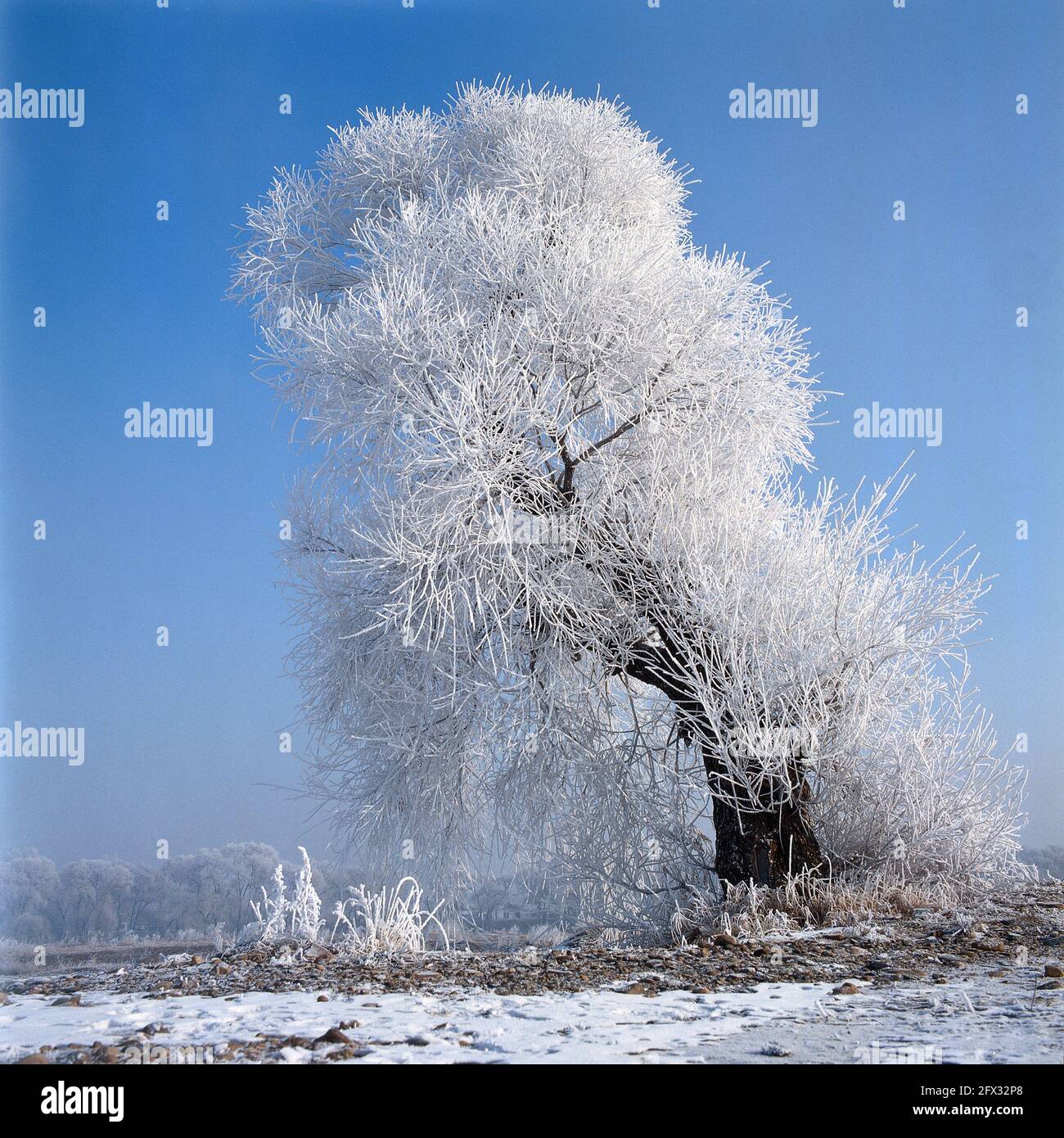 Mountain green water sunny river jungle hd background picture Stock ...