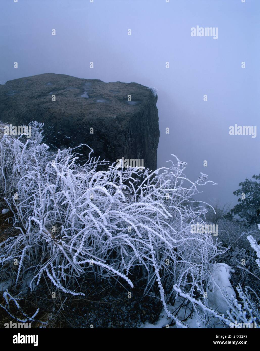 Mountain green water sunny river jungle hd background picture Stock ...