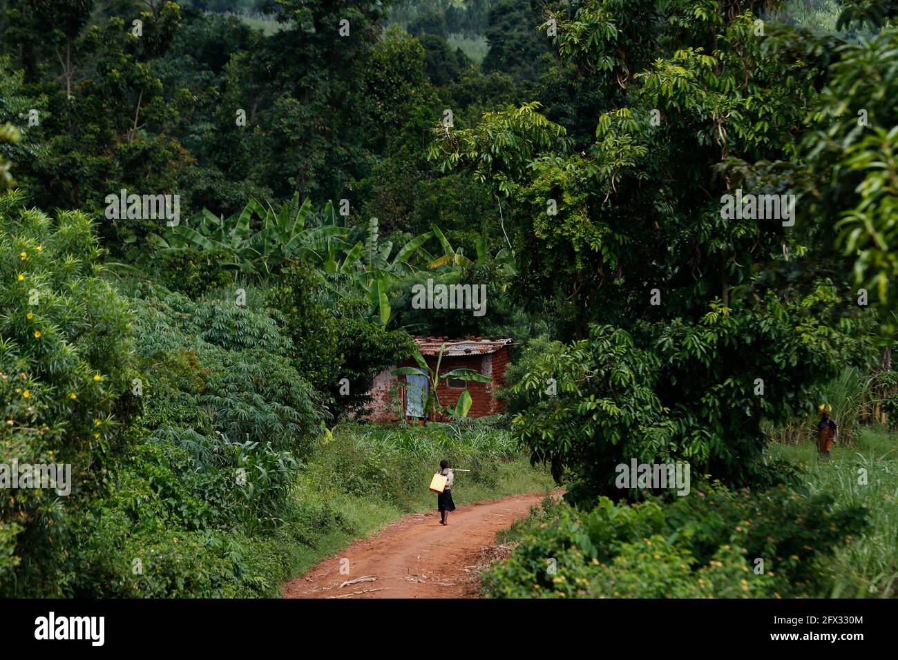 Rural village in Uganda, about two hours drive from the capital Kampala ...