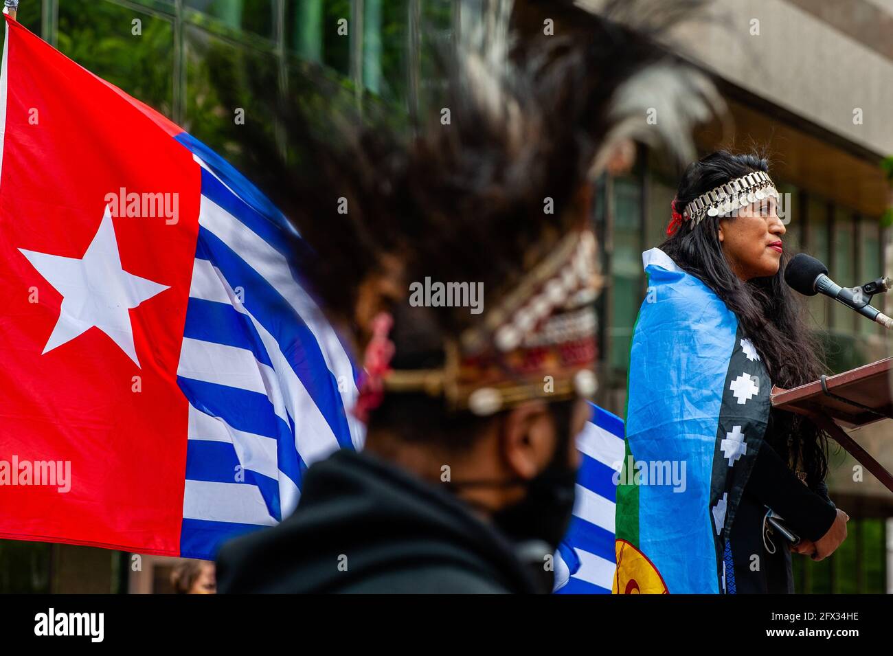 Mapuche flag hi-res stock photography and images - Alamy