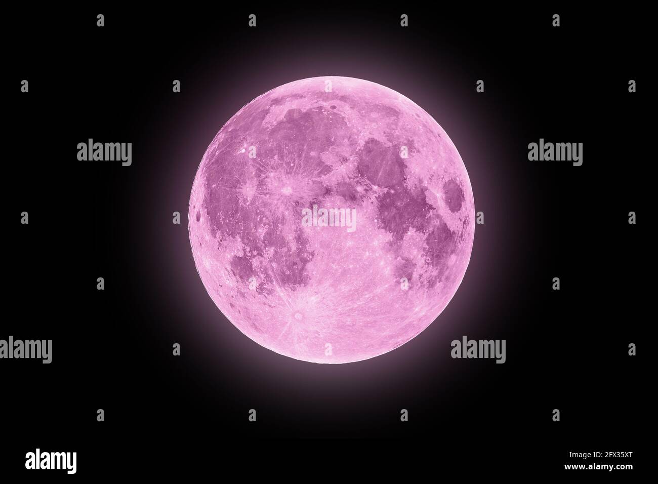Full pink supermoon halo glowing on black night sky background Stock ...