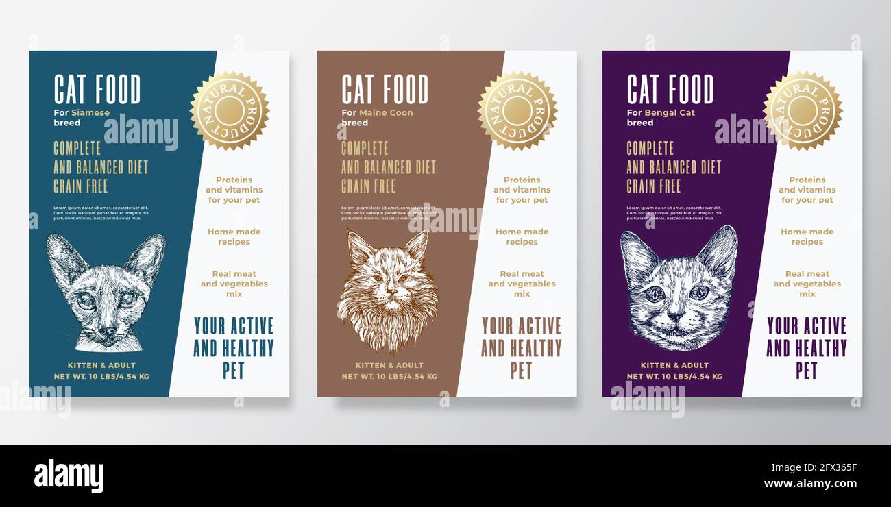 Pet Food Label Templates Set. Abstract Vector Packaging Design Layouts ...