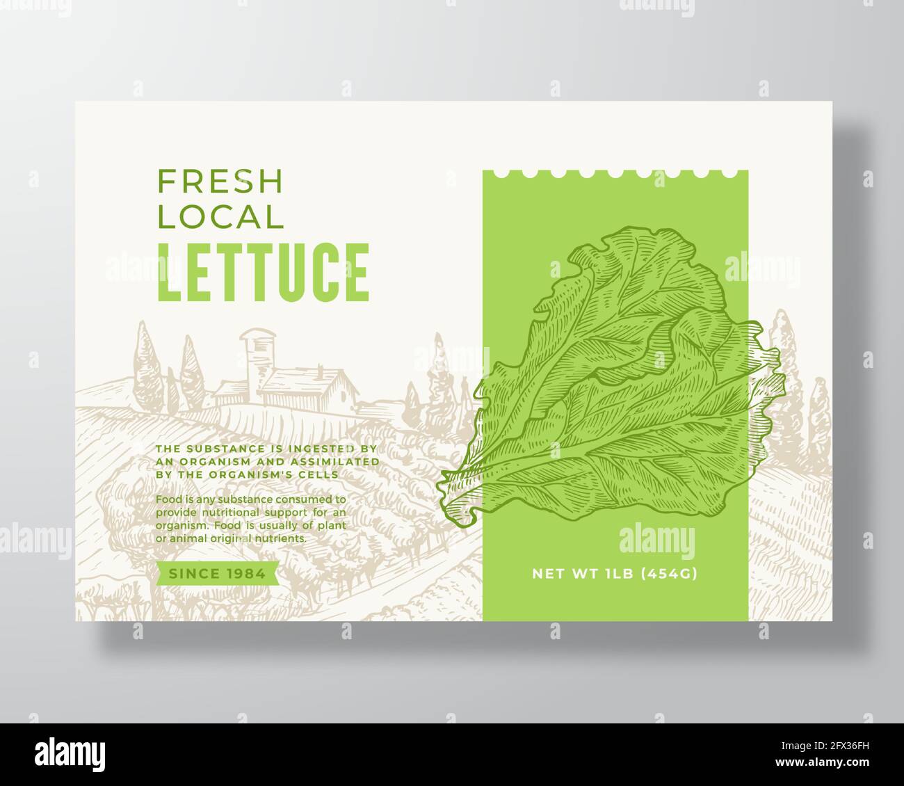 Vegetables Food Label Template. Abstract Vector Packaging Design Layout ...