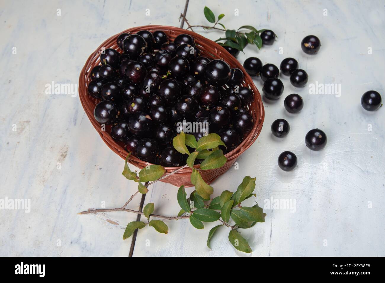 Jaboticaba or jabuticaba, very tasty Brazilian fruit. selective focus ...