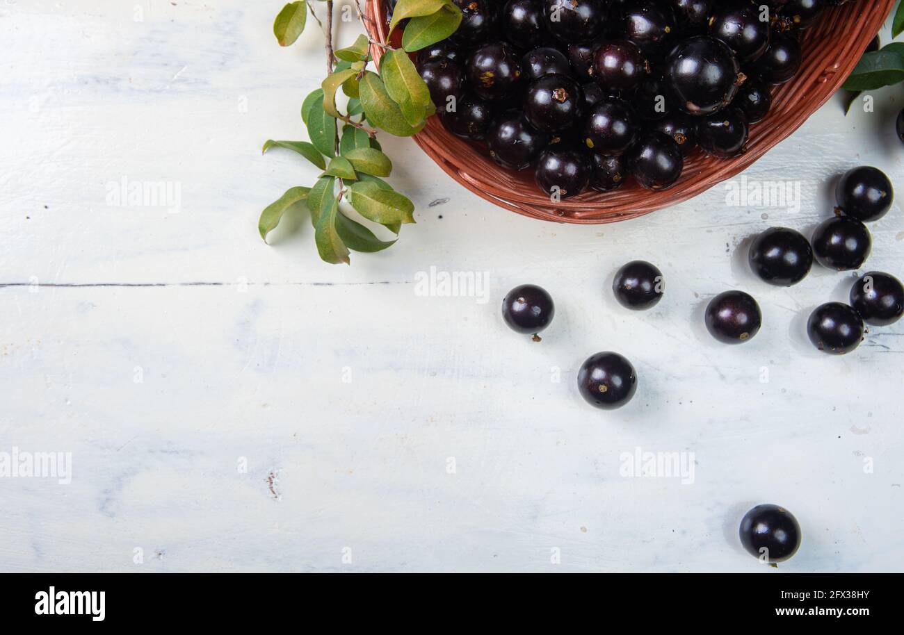 Jaboticaba or jabuticaba, very tasty Brazilian fruit. Top view Stock ...