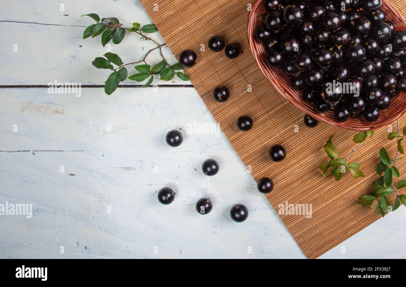 Jaboticaba or jabuticaba, very tasty Brazilian fruit. Top view Stock ...