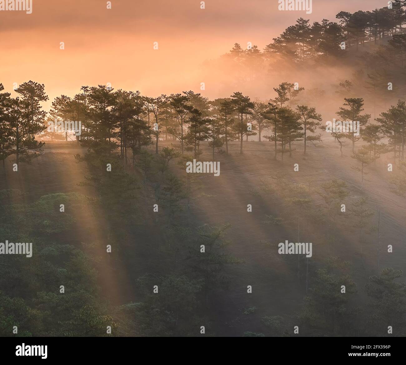 Good morning world hi-res stock photography and images - Alamy