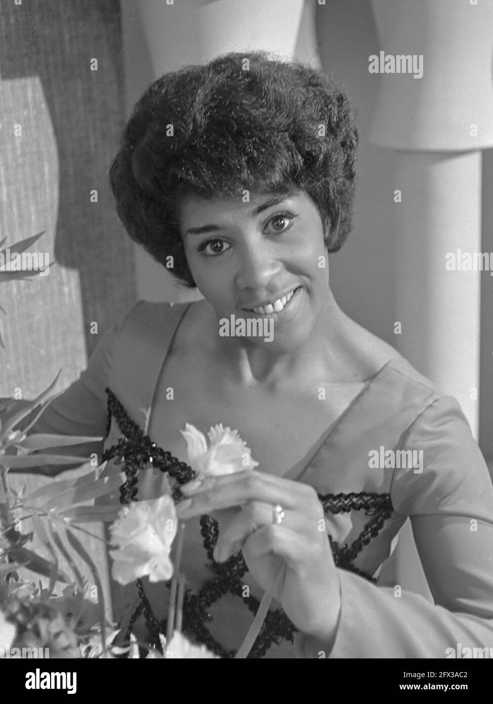 Milly Scott (1966 Stock Photo - Alamy