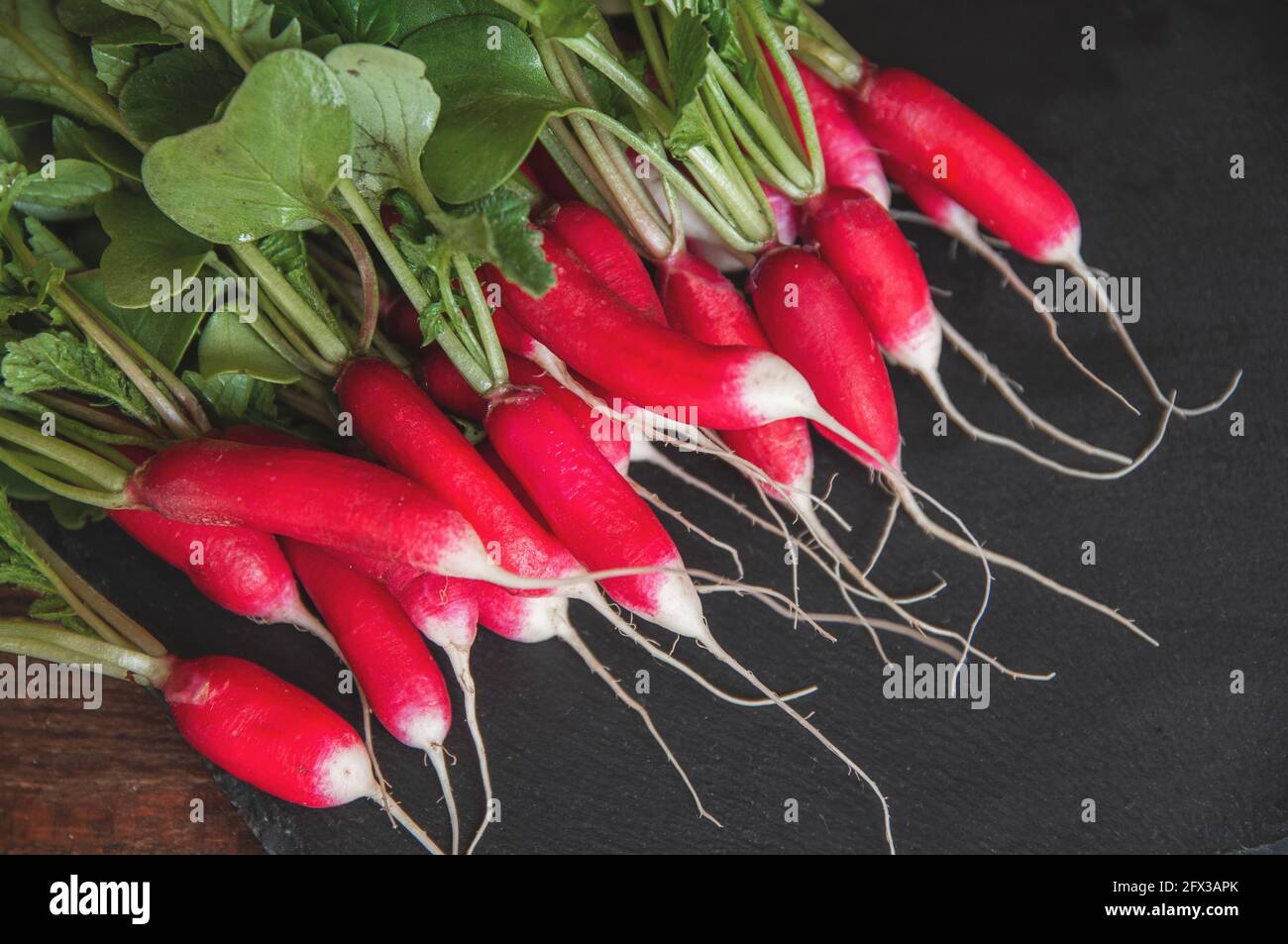fresh radish with stems and leaves lies on a black granite pedestal ...