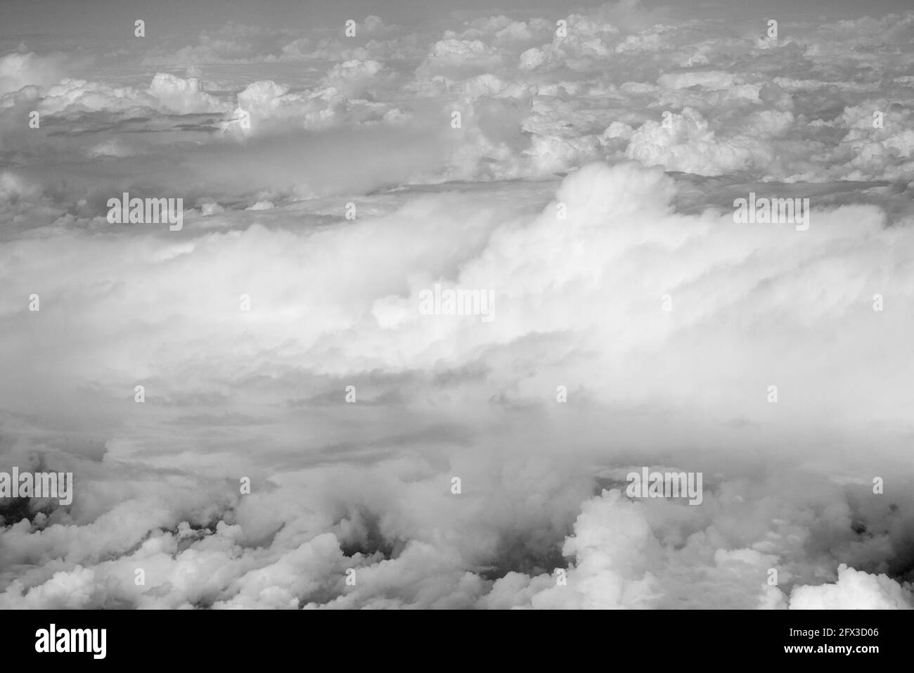 Yellow roses blue sky and white clouds Black and White Stock Photos ...