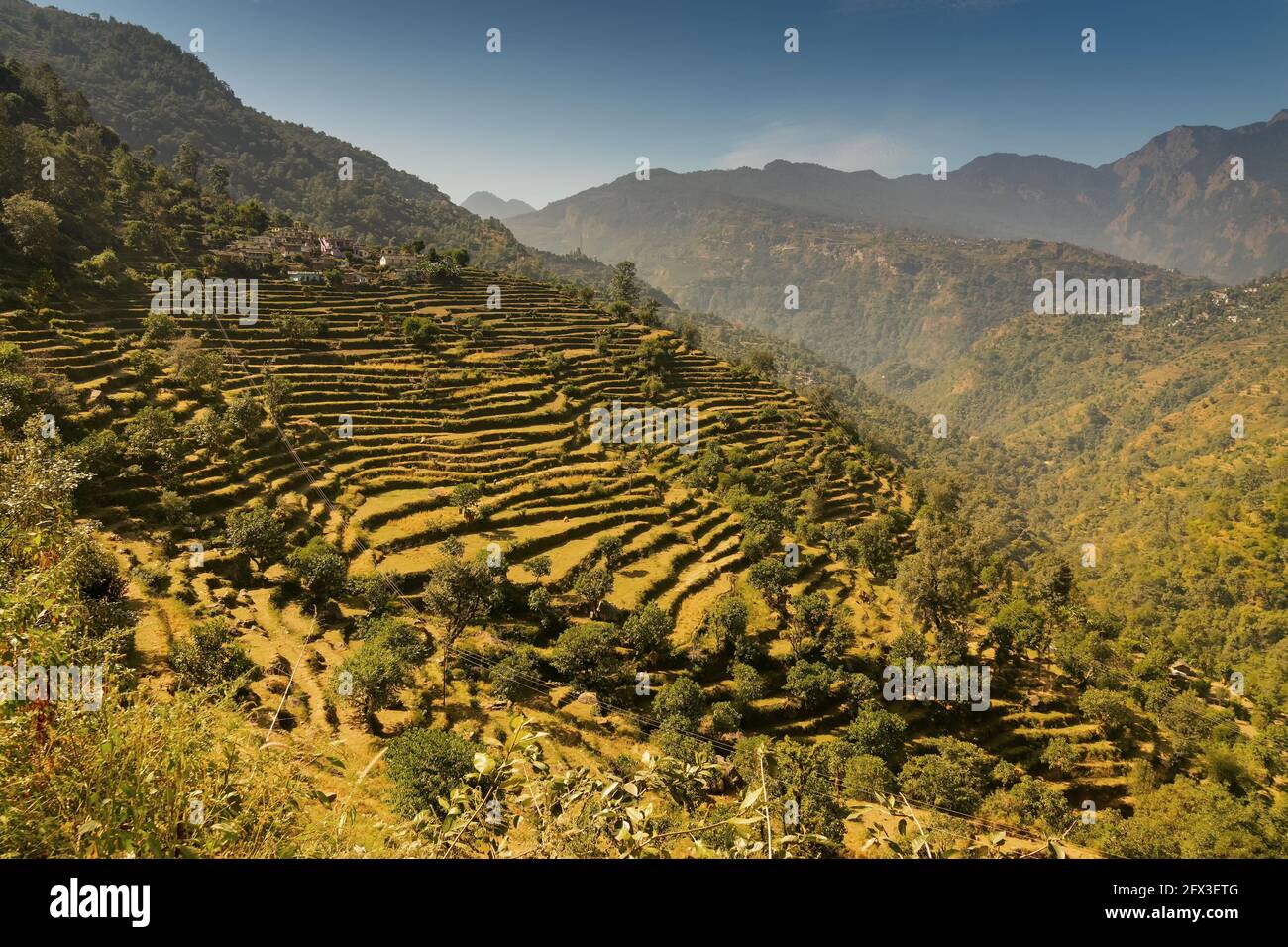High altitude agriculture terrace filed of Garhwal Himalayas, Himalayan ...