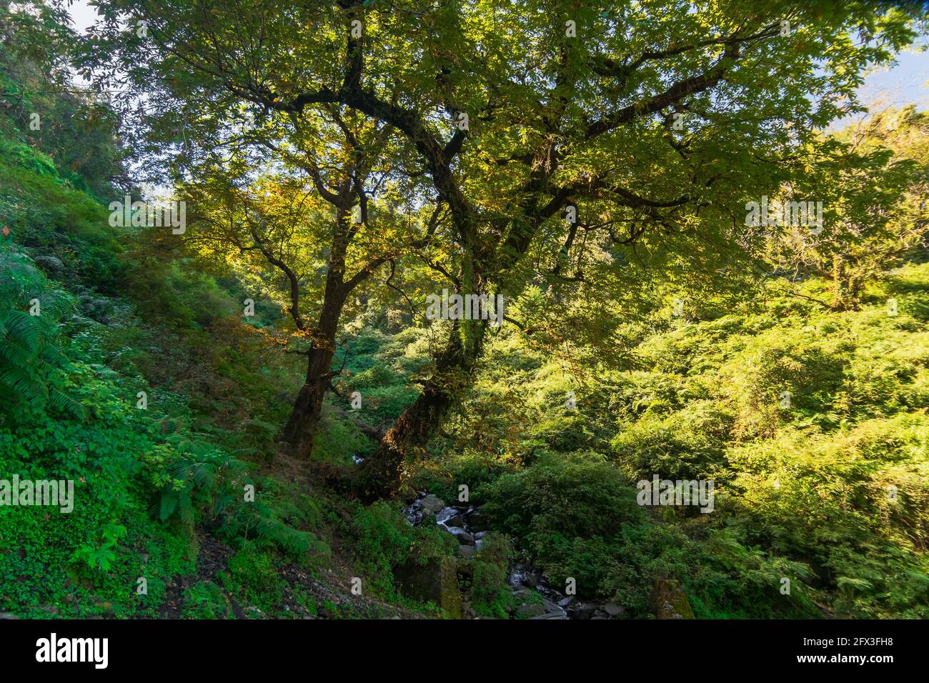 Sunlight falling on mountain hi-res stock photography and images - Alamy