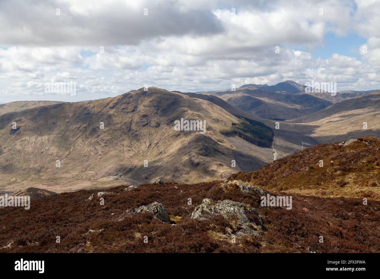 Heather Mor High Resolution Stock Photography and Images - Alamy
