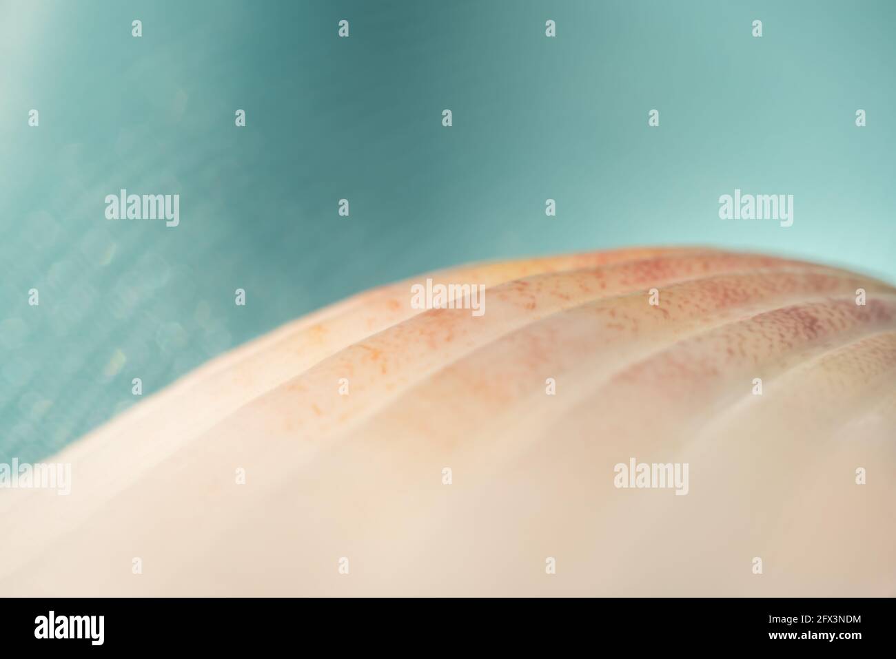 tropical sand turquoise summer background Stock Photo - Alamy