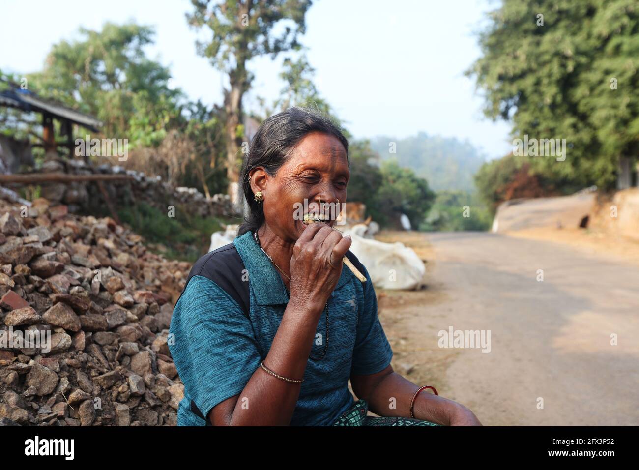 LANJIA SAORA TRIBE - Woman brushing her teeth using fresh neem chew ...