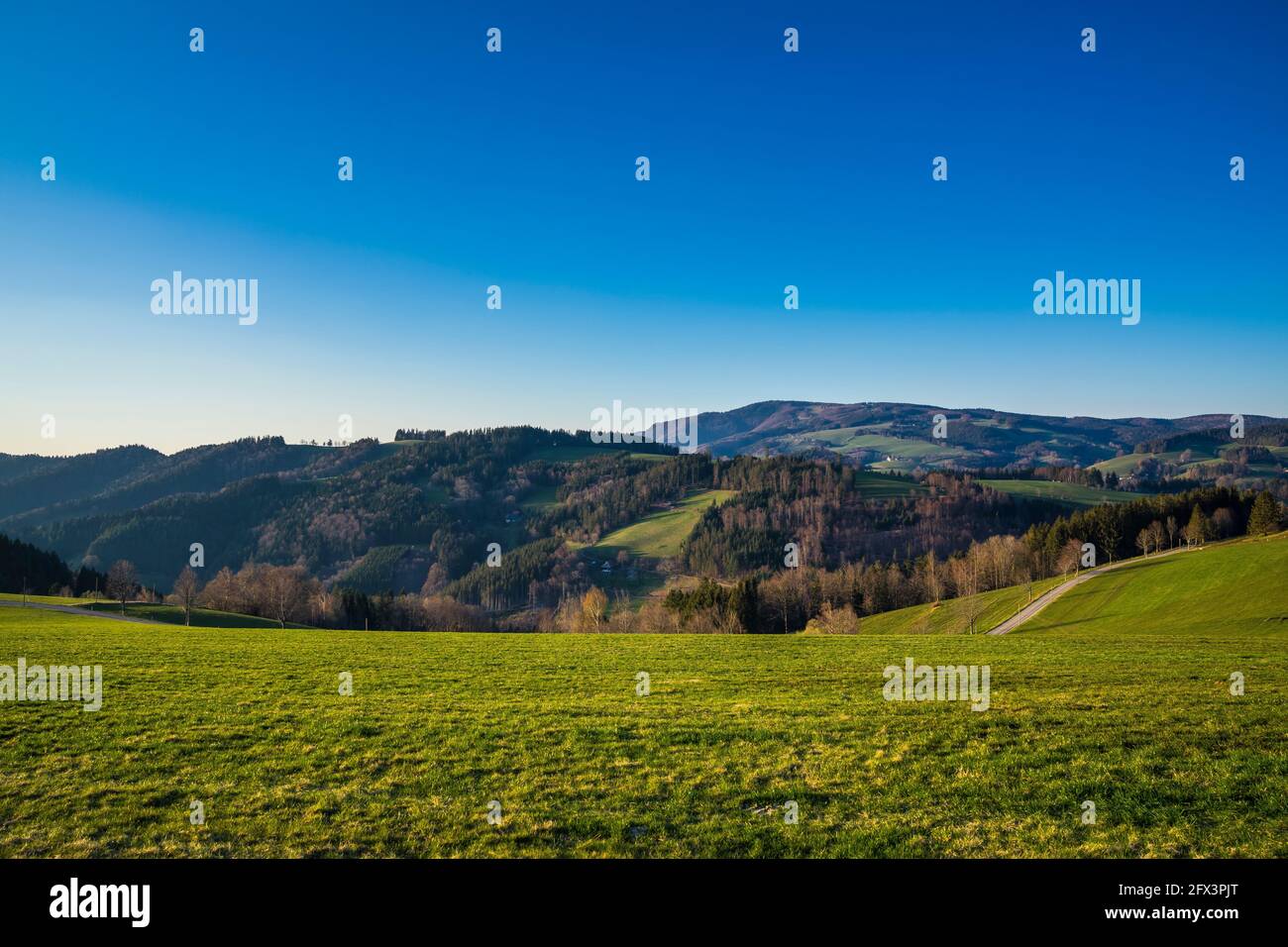 Germany, Warm evening sunlight shining on green pastures and trees at ...