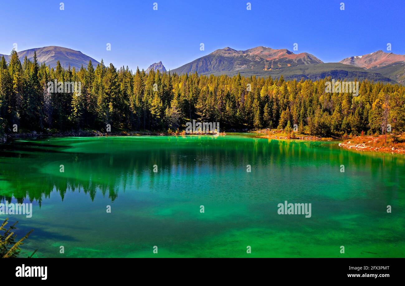 Valley of the Five Lakes, Jasper National Park, Alberta, Canada Stock ...