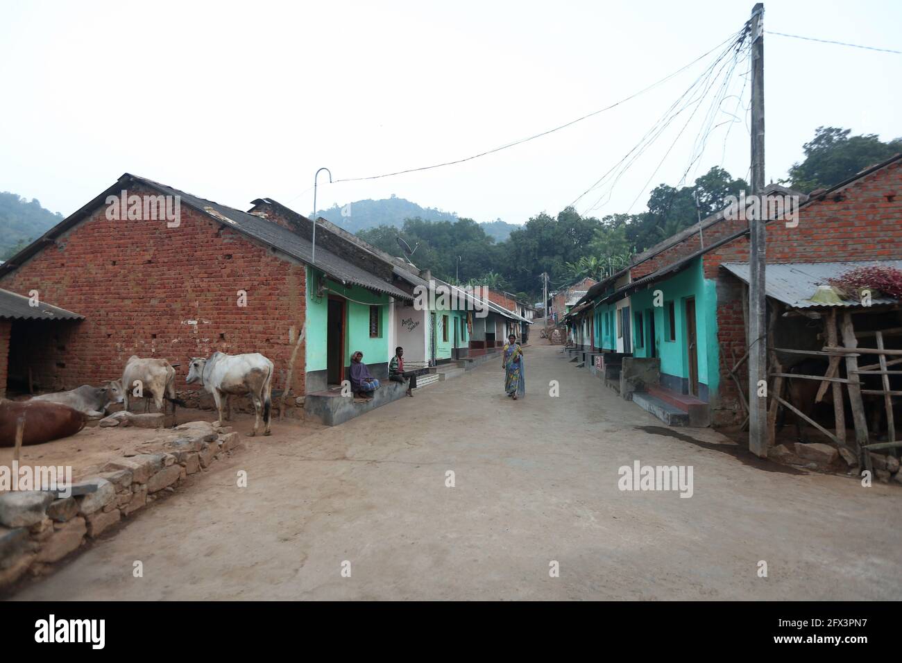 LANJIA SAORA TRIBE - Lanjia Saora village view showing the housing ...