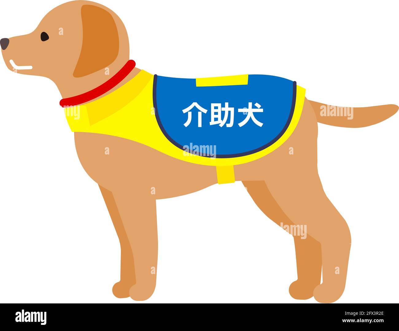 Service dog.Vector illustration that is easy to edit Stock Vector Image ...