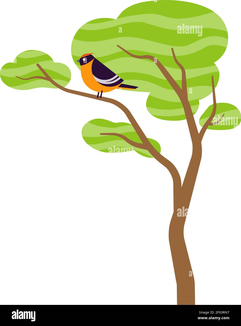 Bird watching in the wild Stock Vector Images - Alamy